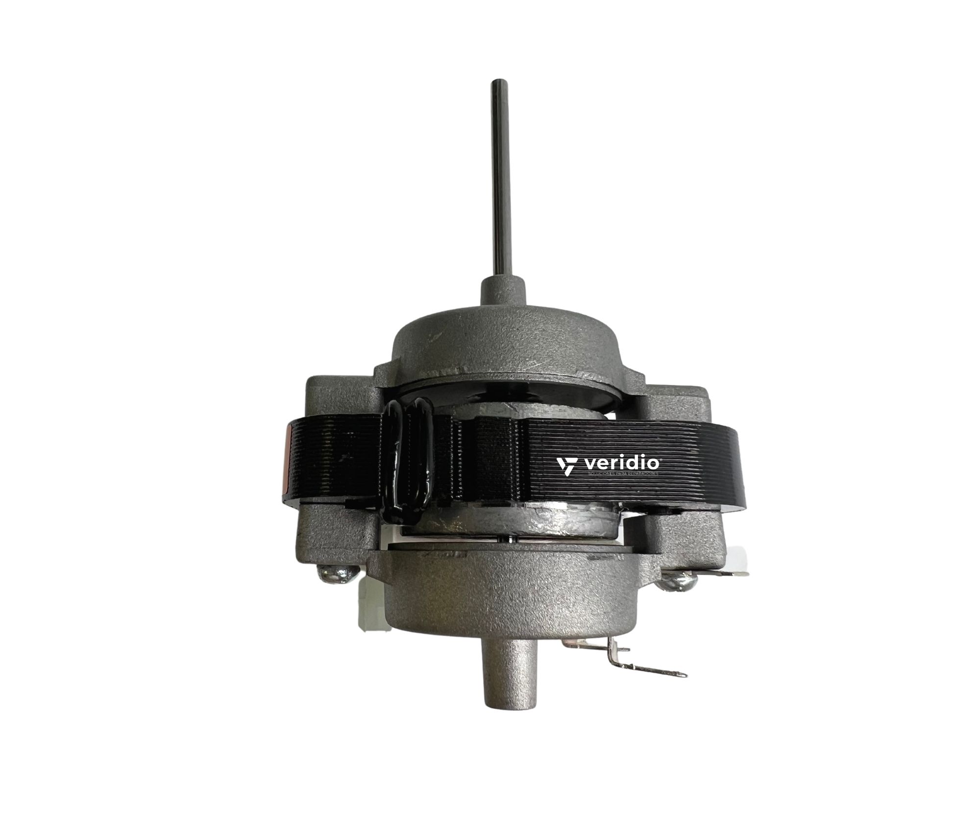 Motor Esqueleto con Flecha Larga 40 mm 3000 Rpm | Veridio